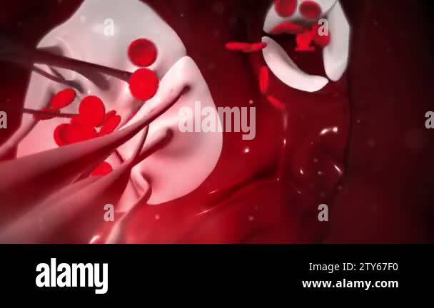 Pumping blood Stock Videos & Footage - HD and 4K Video Clips - Alamy