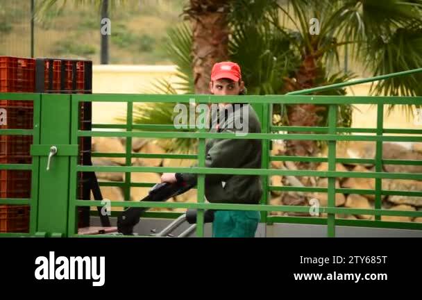 Unloading boxes Stock Videos & Footage - HD and 4K Video Clips - Alamy