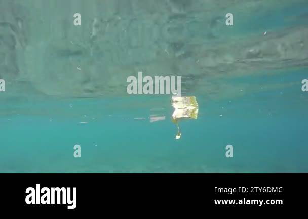 Ecology castaway Stock Videos & Footage - HD and 4K Video Clips - Alamy