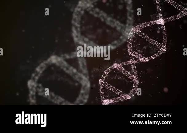 DNA division concept. Loopable abstract background of dna duplicating ...