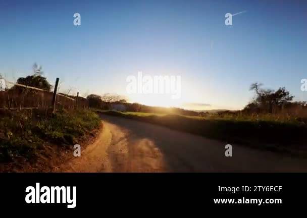 Rural road among fields, forests and meadows. View from the cyclist ...