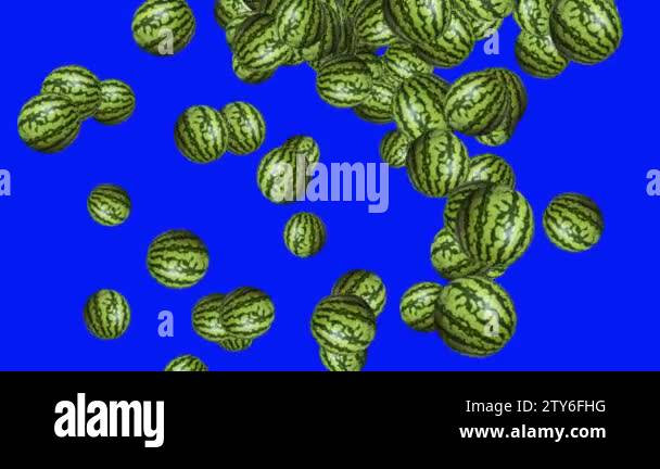 group of melons animation transition on green screen chroma key Stock ...