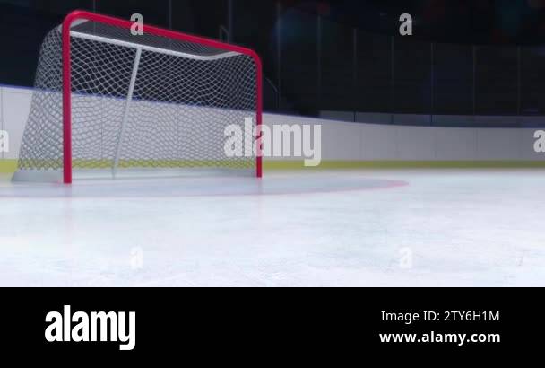 goal gate on ice rink zoom in and camera flash behind, ice hockey ...