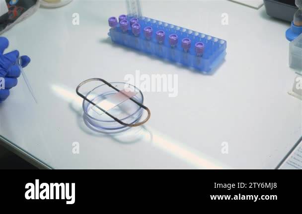 Microscope sample preparation Stock Videos & Footage - HD and 4K Video ...