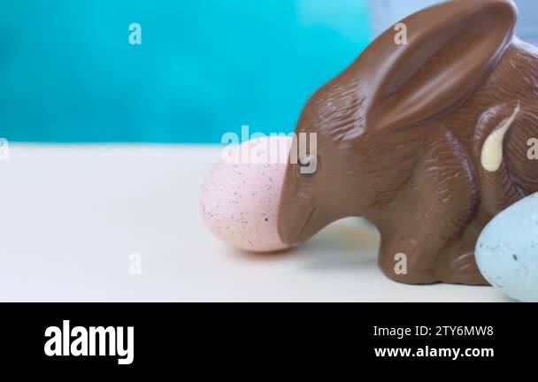 Australian milk chocolate Bilby Easter egg with eggs in nest, dolly ...