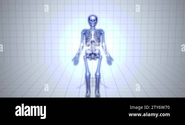 3D animated medical skeleton animation - Ulna Bone Stock Video Footage ...