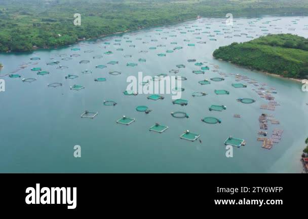 Fish farm with cages for fish and shrimp in the Philippines, Luzon ...