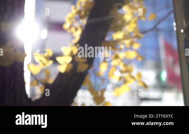 Windy street scene Stock Videos & Footage - HD and 4K Video Clips - Alamy