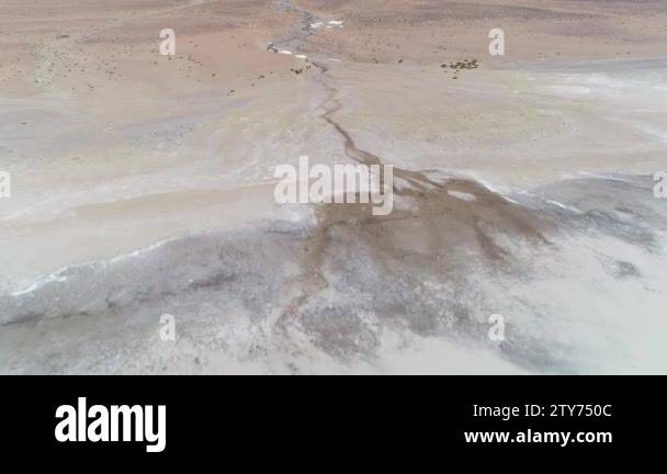 Dry puna vegetation Stock Videos & Footage - HD and 4K Video Clips - Alamy