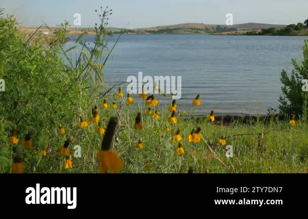 Lakeside bank Stock Videos & Footage - HD and 4K Video Clips - Alamy