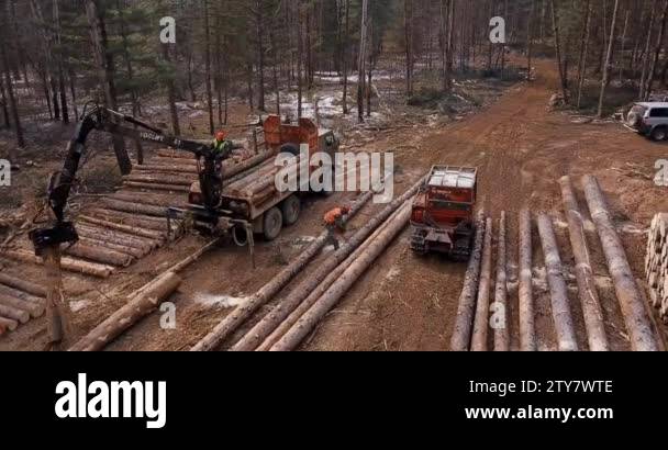 Logging truck long timber Stock Videos & Footage - HD and 4K Video ...