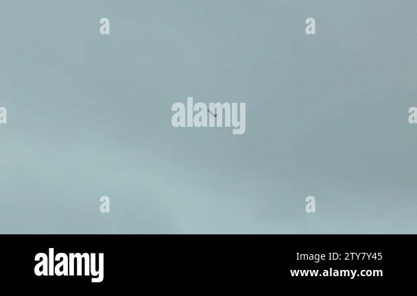 A combat gray blue jet plane fly high in the sky and makes aerobatics ...