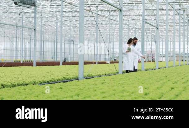 Greenhouse plants lab coat Stock Videos & Footage - HD and 4K Video Clips - Alamy