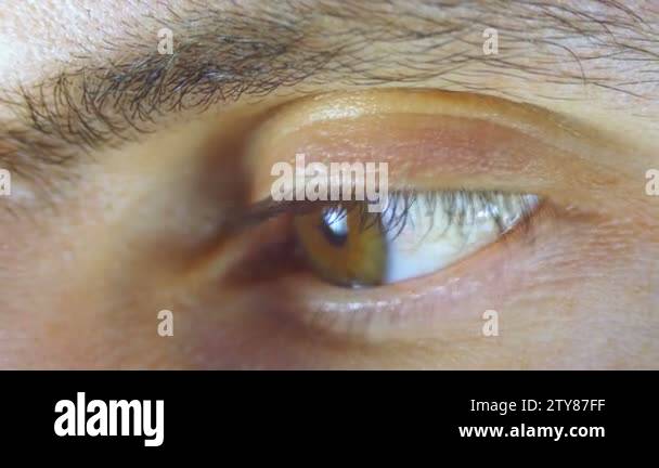 Macro Close-up Male Human Eye Blinking. Young man is opening and ...