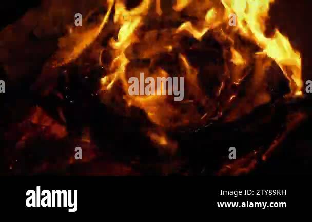 Curling page Stock Videos & Footage - HD and 4K Video Clips - Alamy