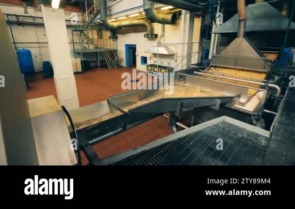 Process of potato crisps frying on a modern conveyor in a food ...