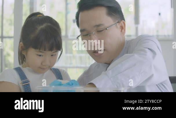 Little Asian student girl learning about laboratory rat in science ...