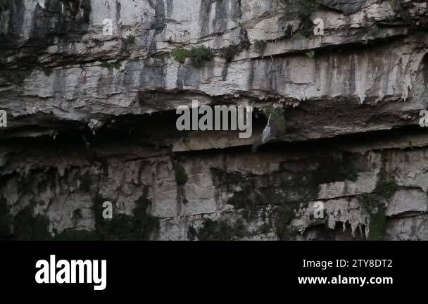Basement of Las Golondrinas (Hirundo rustica) is a natural abyss ...