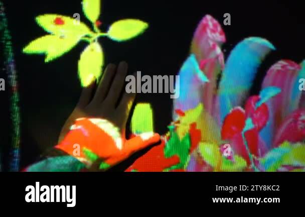Immersive interactive graphic digital installations by TeamLab Stock ...