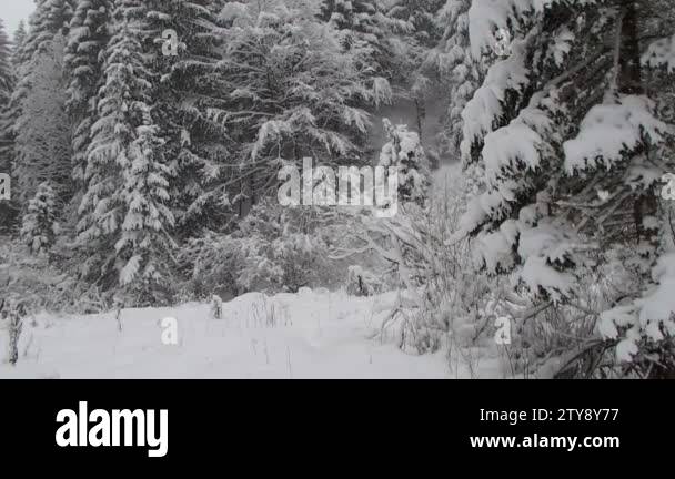 Snow calamity Stock Videos & Footage - HD and 4K Video Clips - Alamy