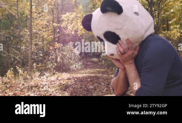 Sad panda crying tears Stock Videos & Footage - HD and 4K Video Clips ...