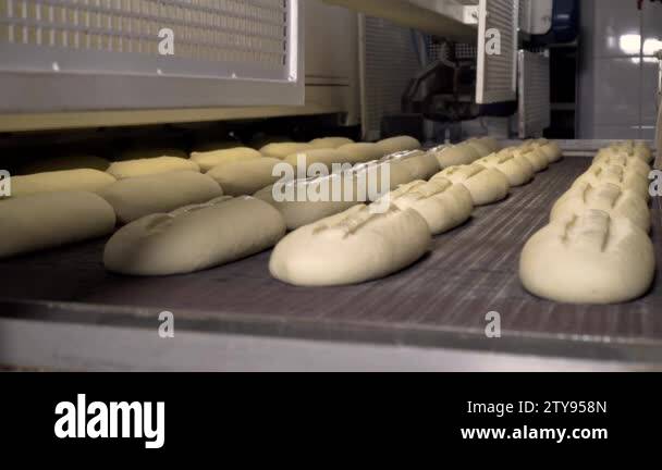 Making a loaf of bread in the bakery. Loaf of bread on the production ...