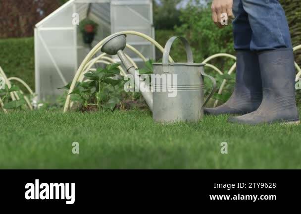 Beautiful woman watering plants Stock Videos & Footage - HD and 4K ...