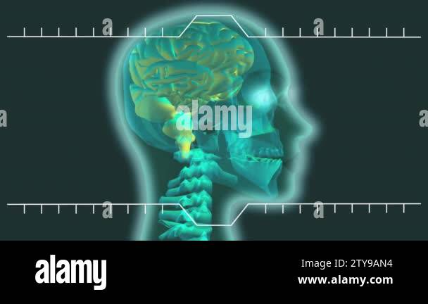 Translucent window Stock Videos & Footage - HD and 4K Video Clips - Alamy