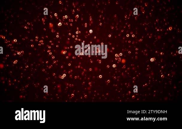 Abstract Red Blood Cells Background Loop/ 4k animation of a health and ...