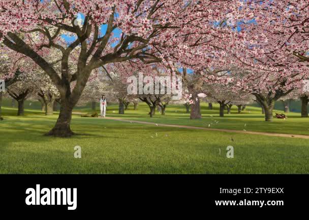 Asian girl in kimono walking alone through japanese garden with ...