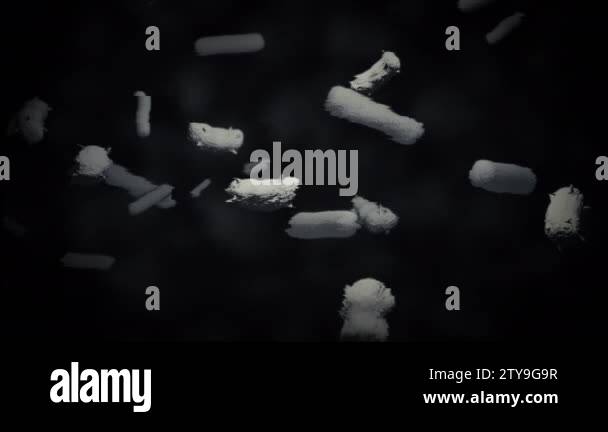 Scanning micrograph Stock Videos & Footage - HD and 4K Video Clips - Alamy