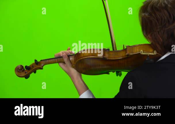 Girl stands with her back and plays the violin. Green screen. Back view ...