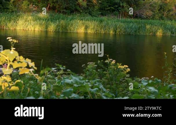 Man floating in river Stock Videos & Footage - HD and 4K Video Clips ...