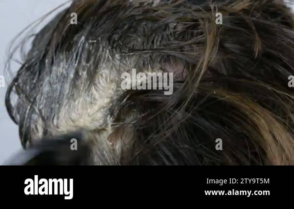 Gray hair at the roots of women, which itself dyes hair with special ...