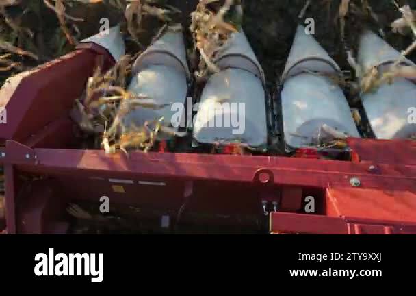 Crop harvesting robot Stock Videos & Footage - HD and 4K Video Clips ...