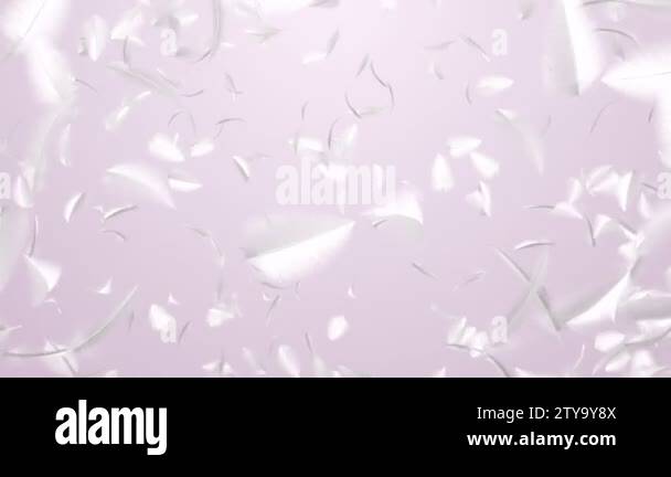 3d animation footage of falling feather. Animation of seamless loop ...