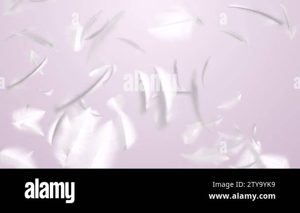 3d animation footage of falling feather. Animation of seamless loop ...
