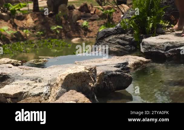 Female legs crossing river water flowing on stones in mountain ...