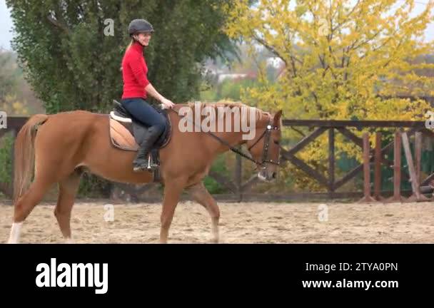 Young happy woman riding a horse. Young female equestrian rider riding ...