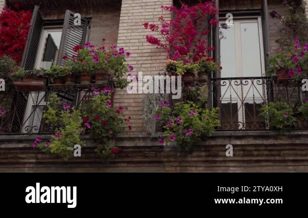 Typical shutters Stock Videos & Footage - HD and 4K Video Clips - Alamy