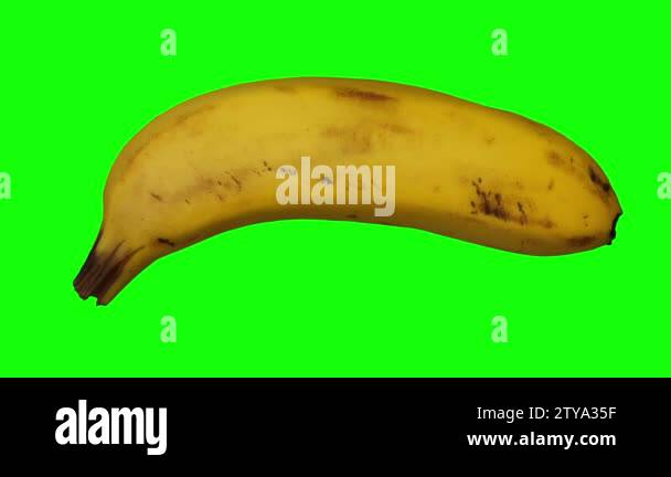 Realistic render of a rotating banana (Cavendish variety) on green ...