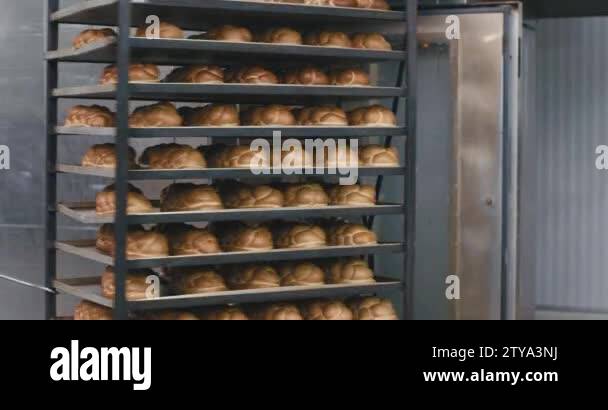 Industrial bakery line process Stock Videos & Footage - HD and 4K Video ...