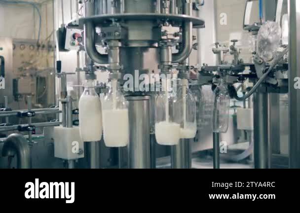 Transparent bottles are getting filled with milk by factory complex ...