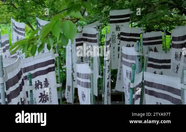 Shinto Shrine in Kamakura - the famous Tsurugaoka Hachiman-gu shrine ...
