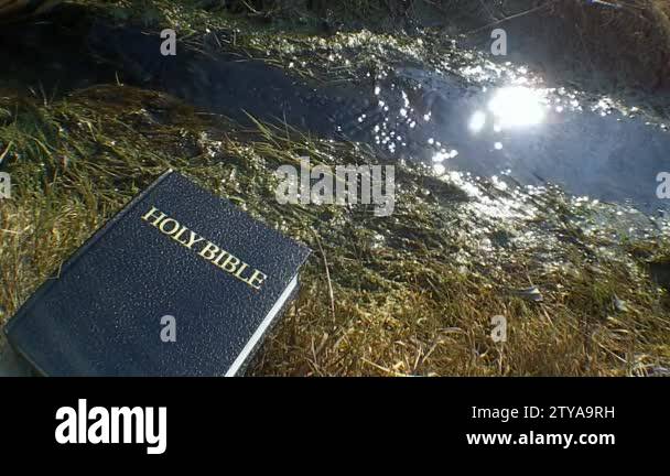 Holy weed Stock Videos & Footage - HD and 4K Video Clips - Alamy