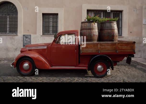 14 pointer Stock Videos & Footage - HD and 4K Video Clips - Alamy