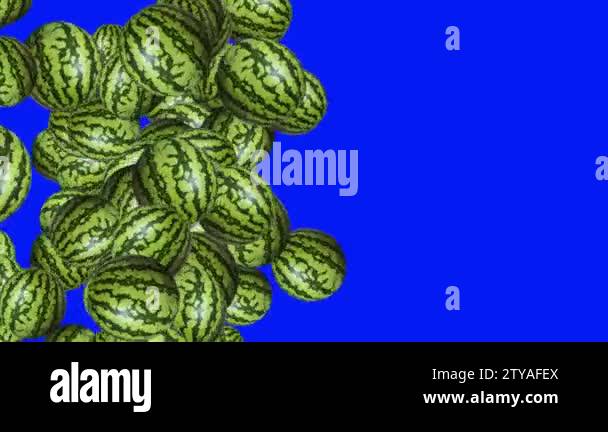 group of melons animation transition on green screen chroma key Stock ...
