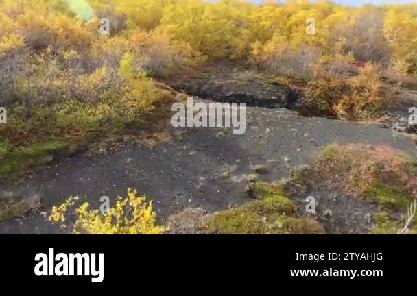 Lava moss Stock Videos & Footage - HD and 4K Video Clips - Alamy
