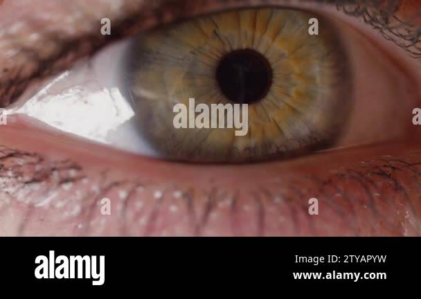 SLOW MOTION CLOSE UP: Pretty green eye frantically looking around ...