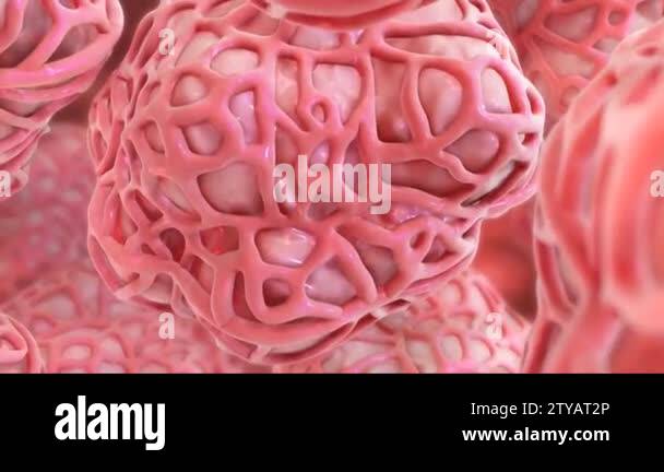 Internal structure of alveolar in the lung, medical animation of its ...